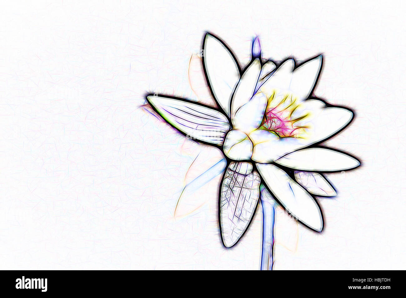 Lily pads Cut Out Stock Images & Pictures - Alamy