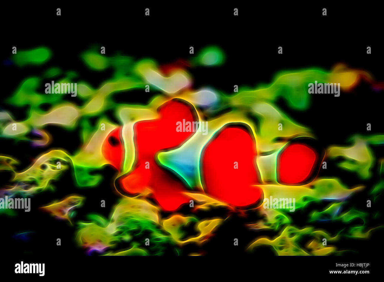 Neon orange clownfish hi-res stock photography and images - Alamy