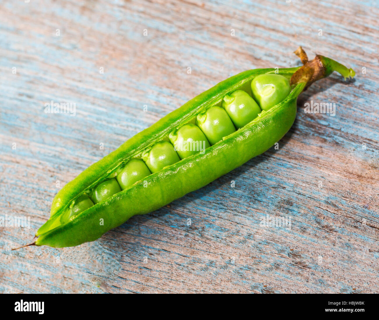 Eco pod hi-res stock photography and images - Alamy