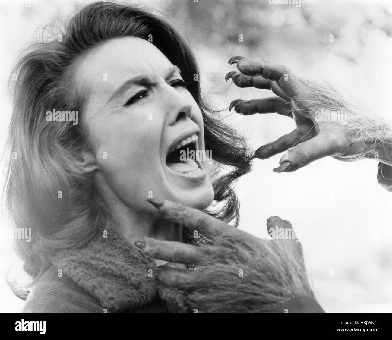 THE BOY WHO CRIED WEREWOLF, Elaine Devry, 1973 Stock Photo - Alamy