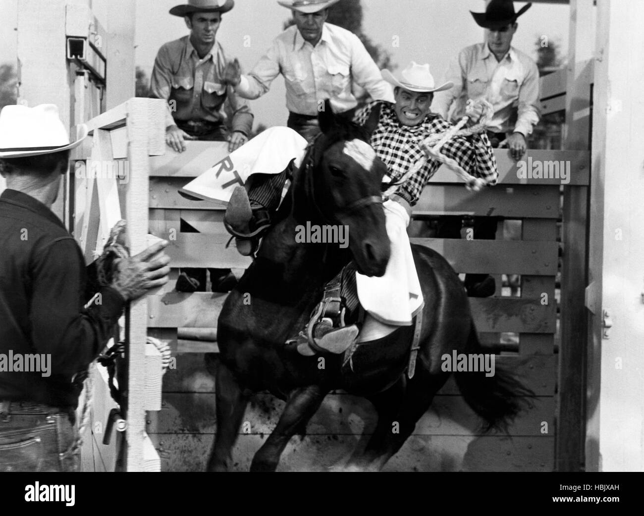 BRONCHO BUSTER, Scott Brady (center), 1952 Stock Photo - Alamy