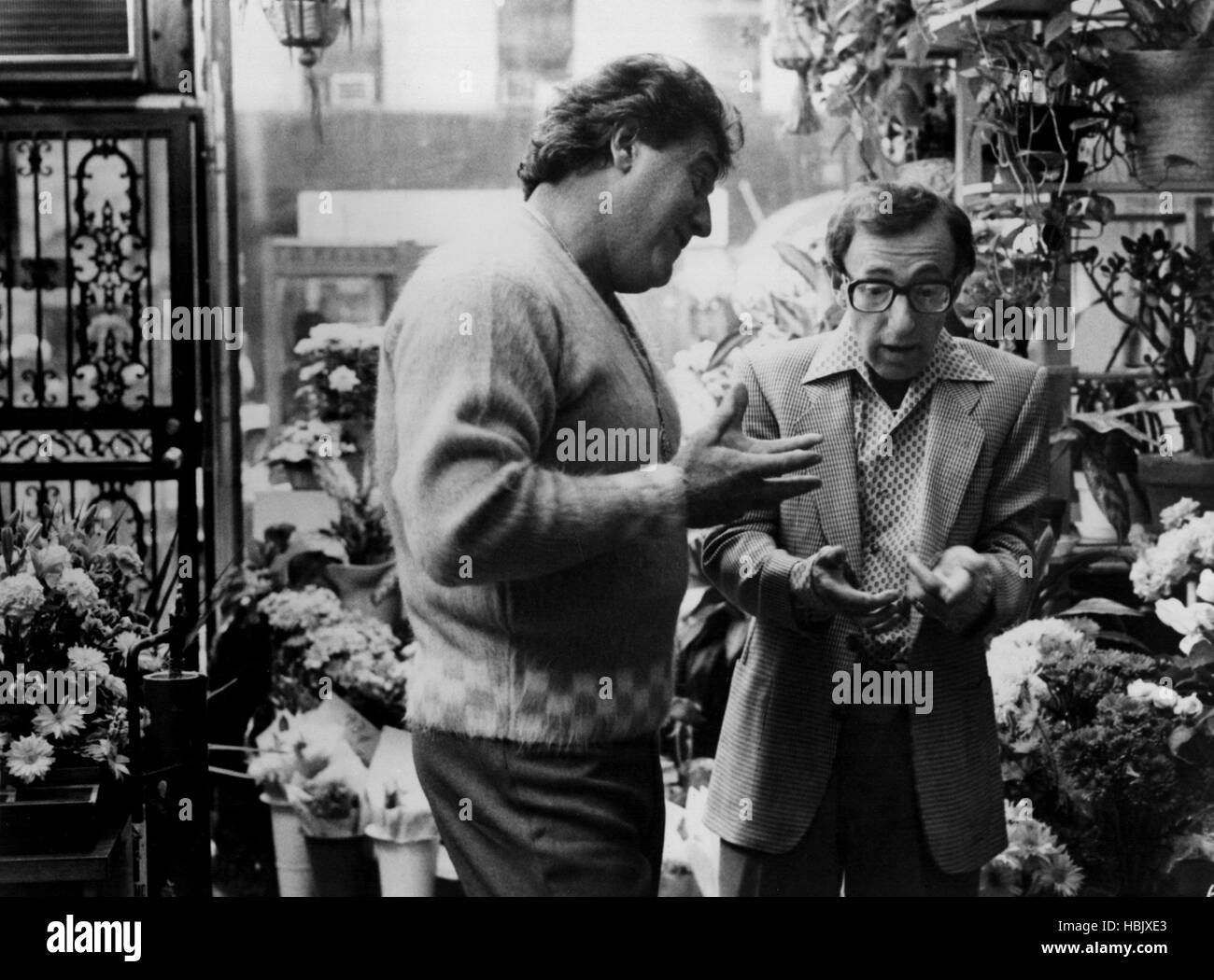 BROADWAY DANNY ROSE, Nick Apollo Forte, Woody Allen, 1984 Stock Photo ...