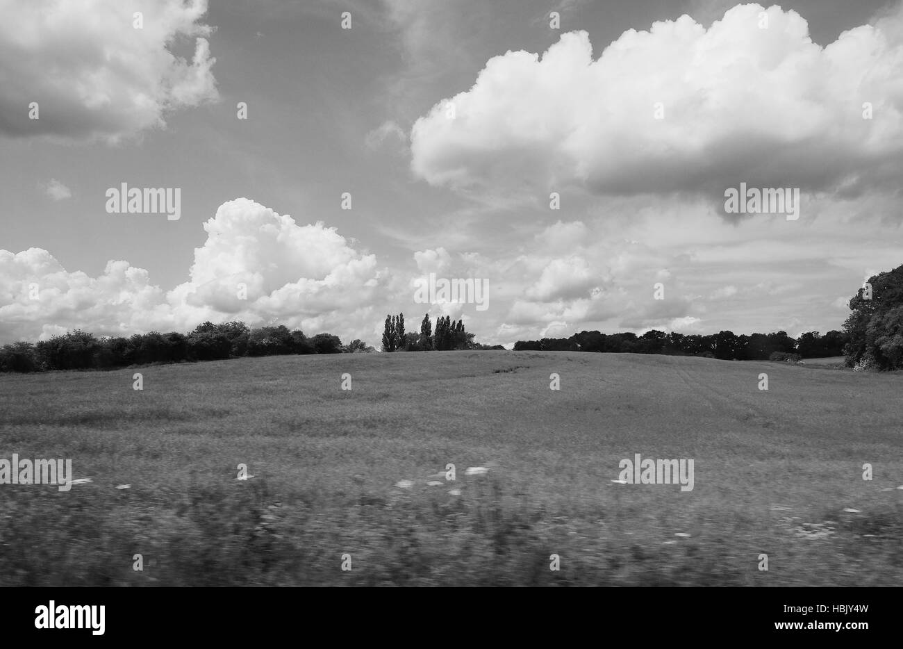 Train in english countryside Black and White Stock Photos & Images - Alamy