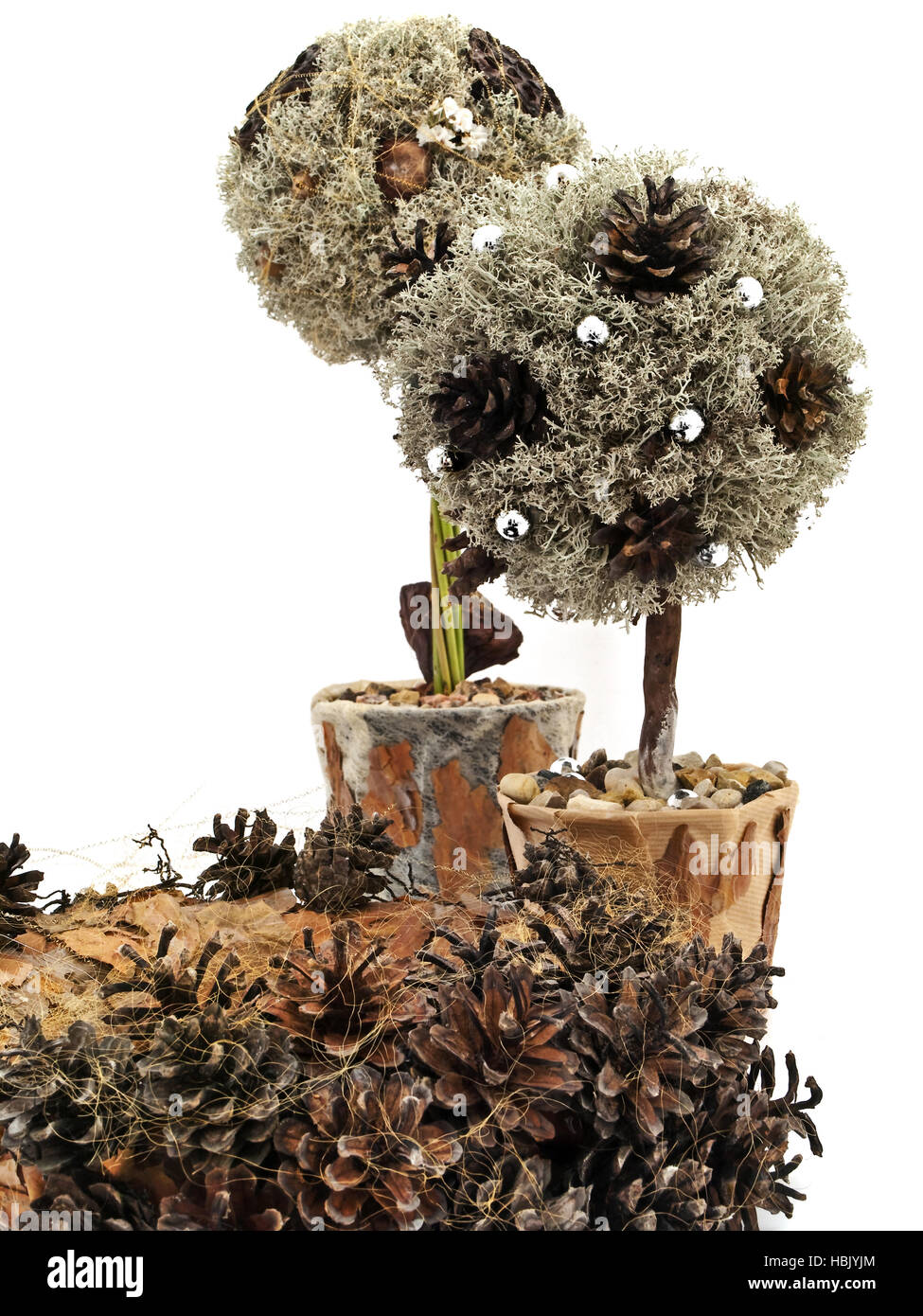 Decorative trees hi-res stock photography and images - Alamy