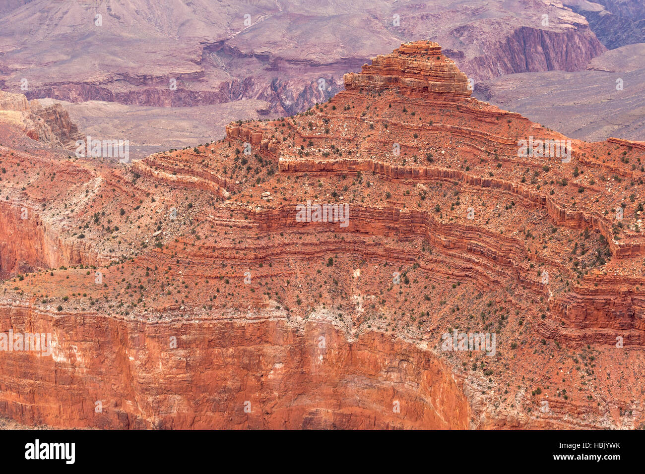 Grand Canyon National Park in Arizona, USA Stock Photo - Alamy
