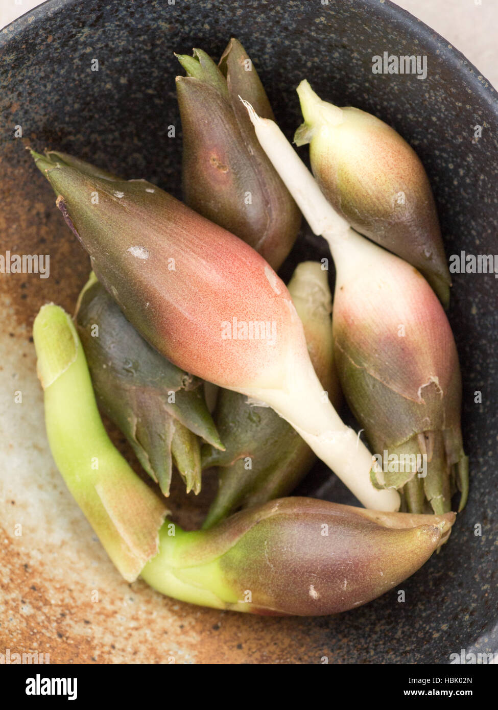 Top view of Japanese zingiber mioga also known as a myoga Stock Photo ...