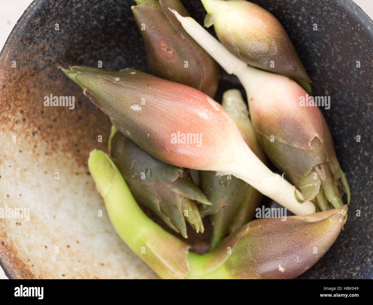 Top view of Japanese zingiber mioga also known as a myoga Stock Photo ...