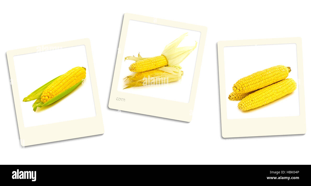 Corn square Cut Out Stock Images & Pictures - Alamy