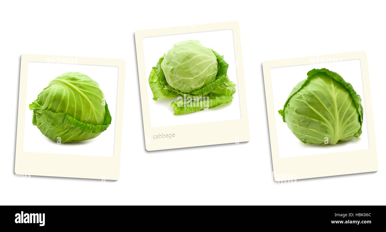 Square cabbage hi-res stock photography and images - Alamy