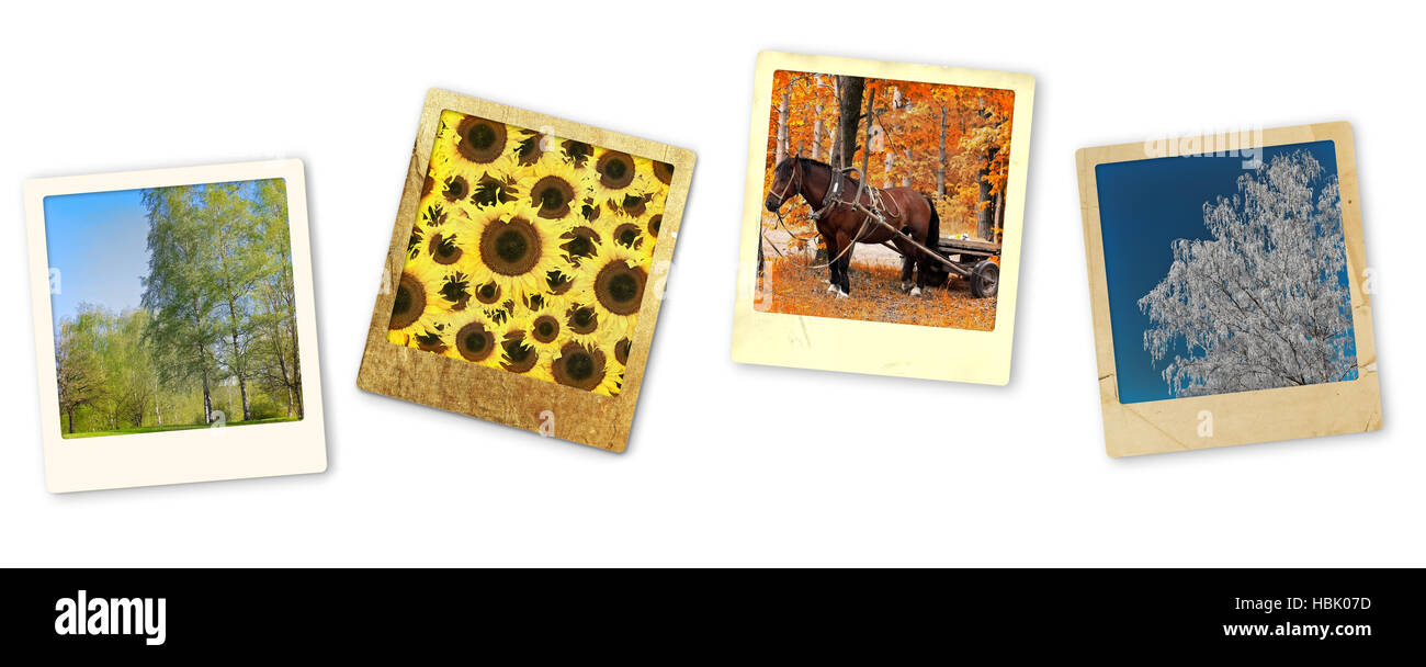 Four seasons tree hi-res stock photography and images - Alamy