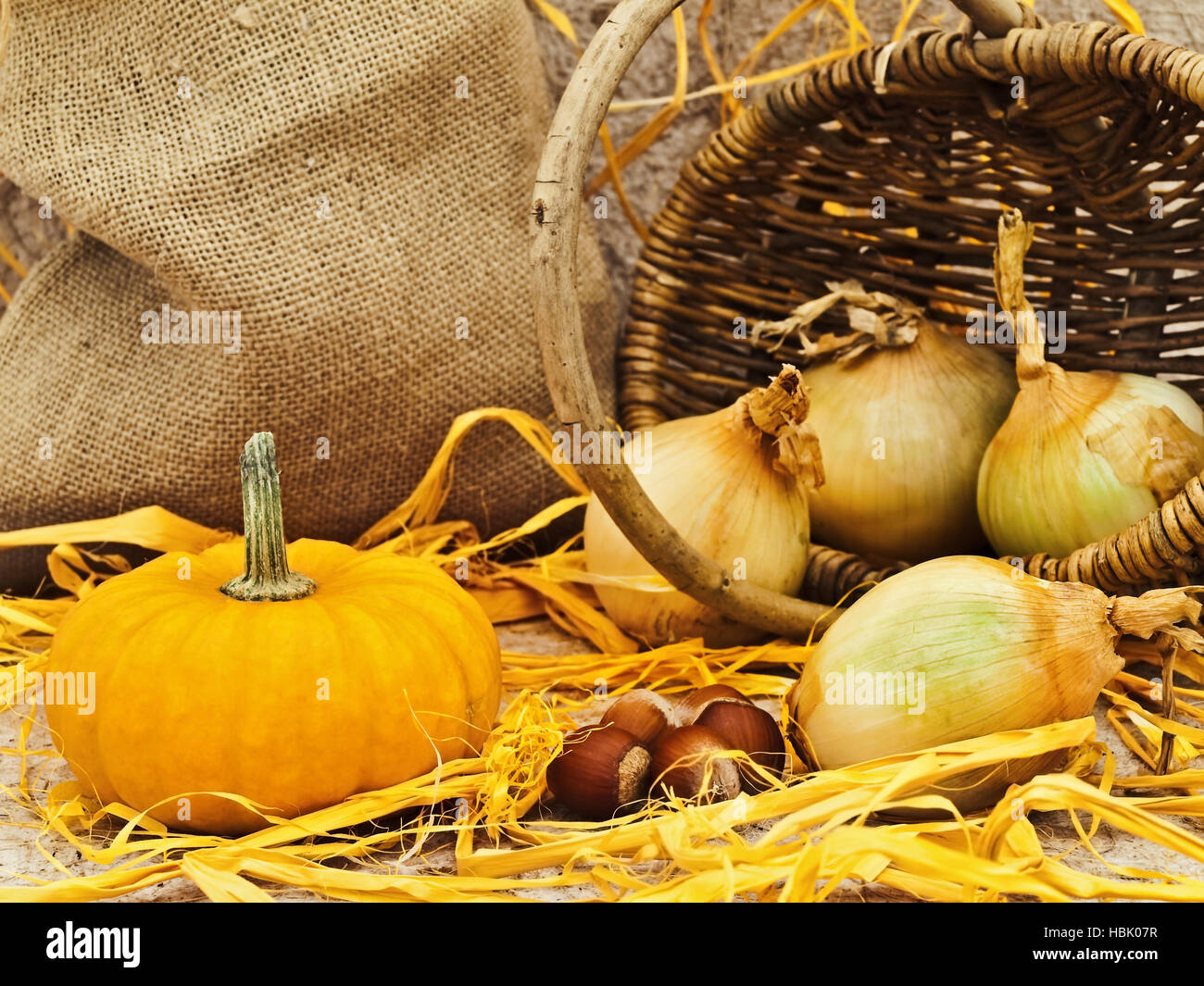 Still Life With Pumpkin Stock Photo - Alamy