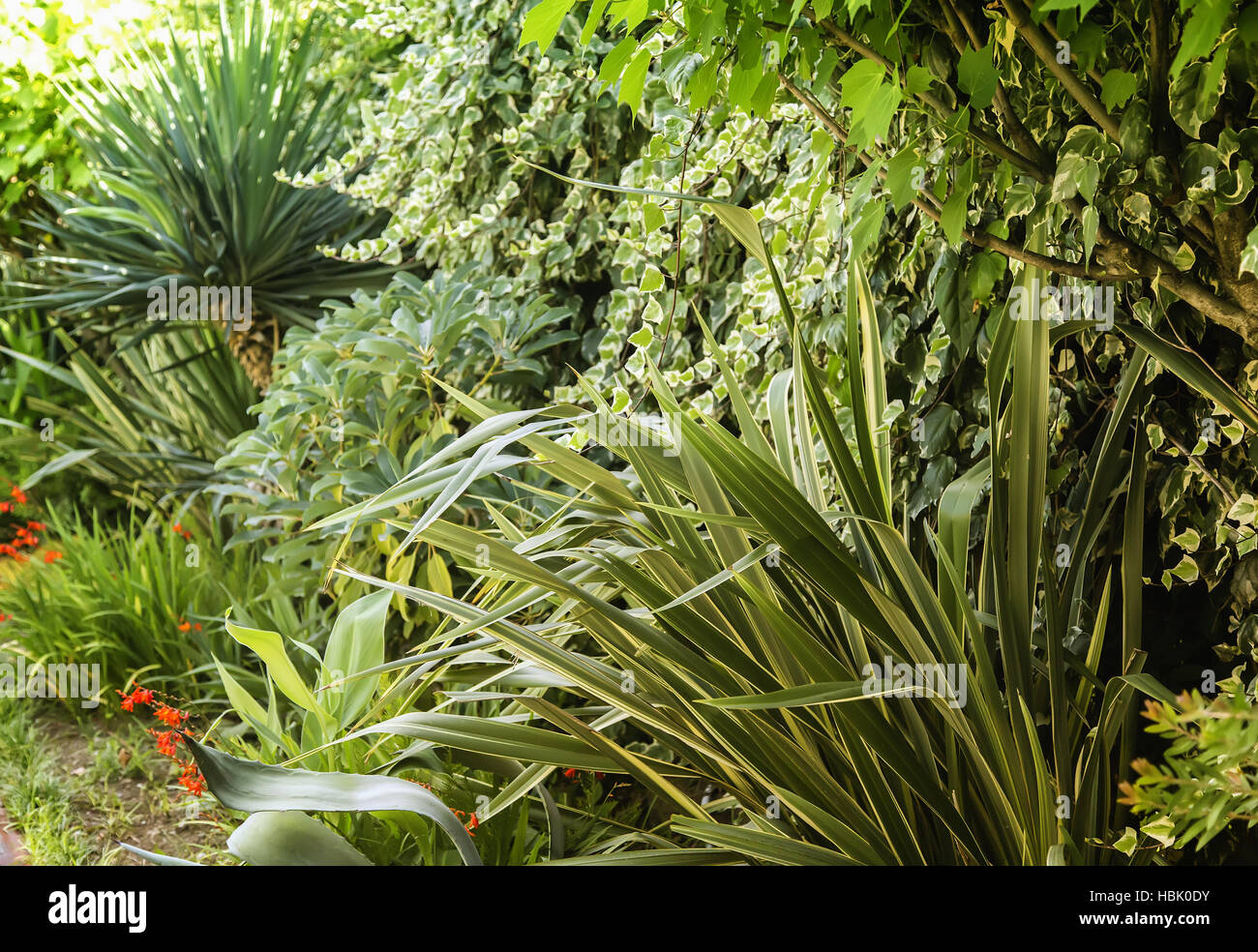 Ornamental grass planting hi-res stock photography and images - Alamy