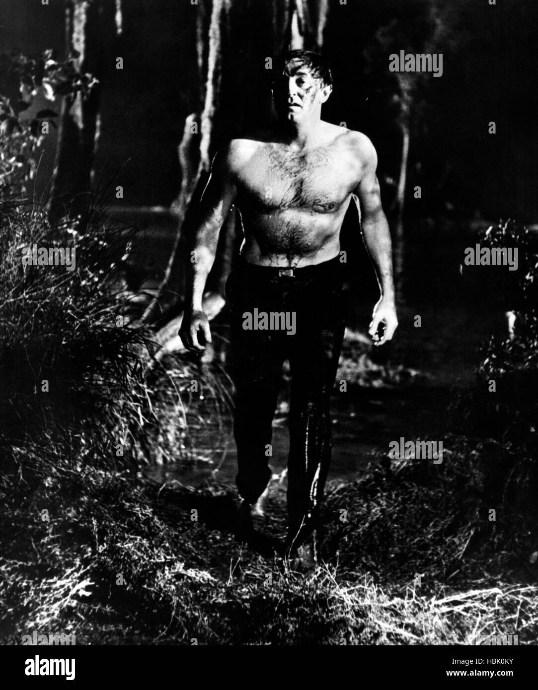 CAPE FEAR, Robert Mitchum, 1962 Stock Photo - Alamy