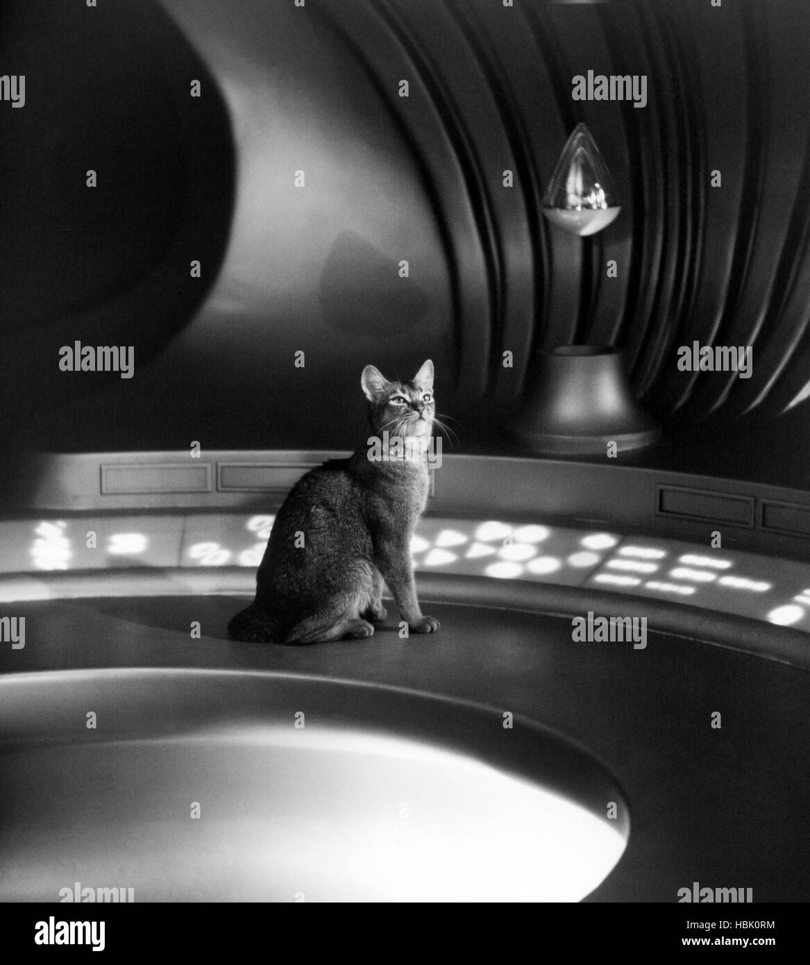 THE CAT FROM OUTER SPACE, Jack the cat, 1978. (c) Buena Vista Pictures ...