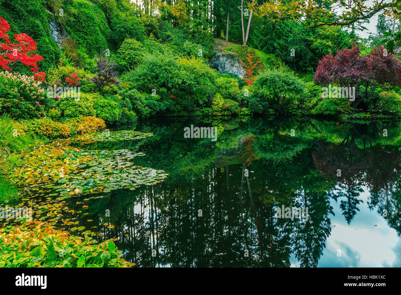 In a small pond reflected sky Stock Photo - Alamy