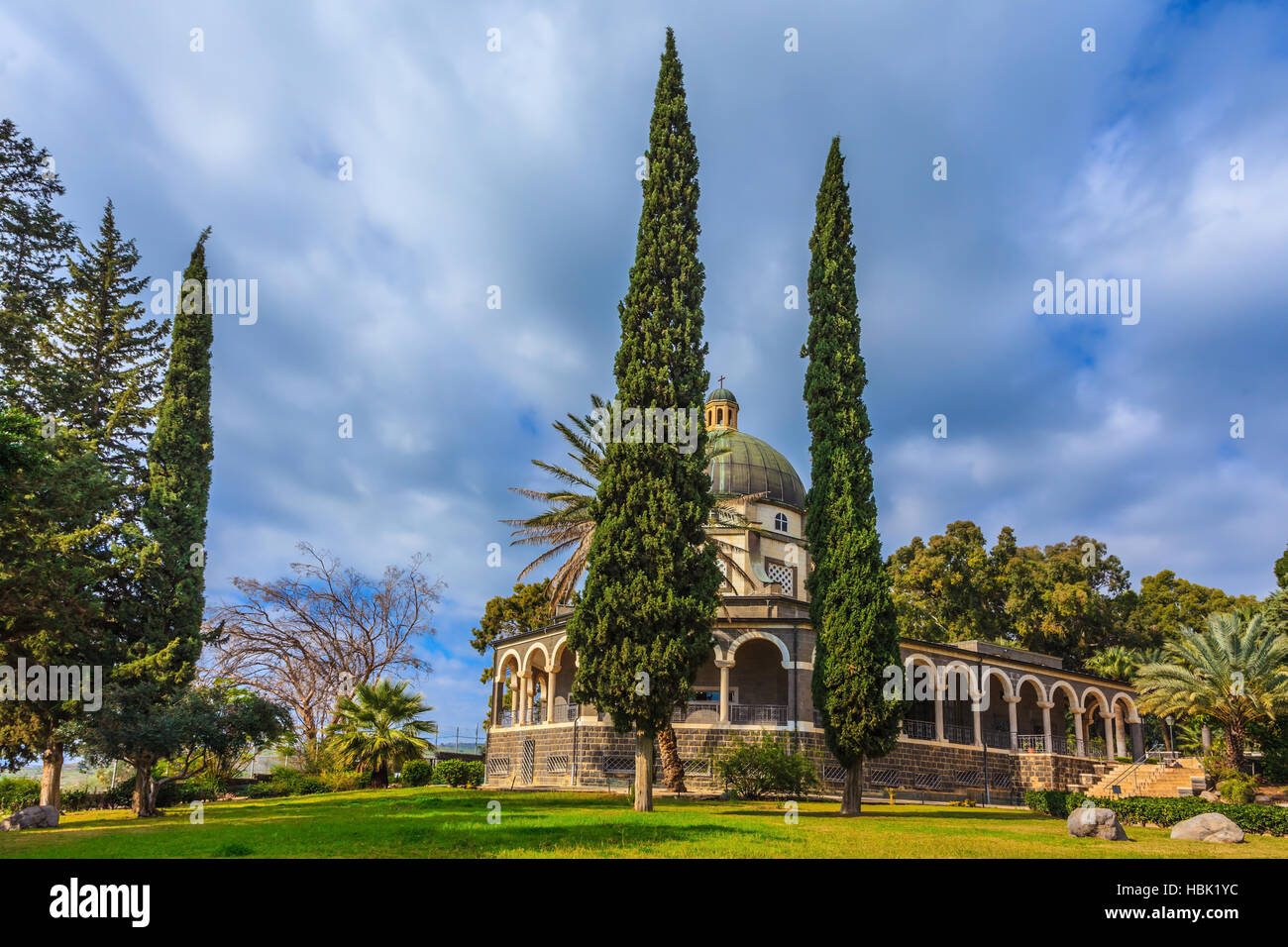 Beautiful park of cypress Stock Photo - Alamy