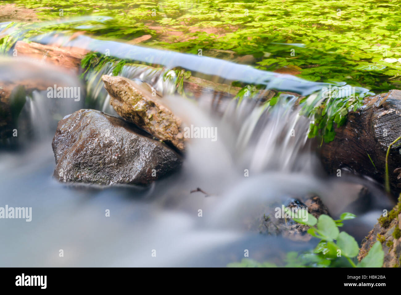 Small fresh water spring hi-res stock photography and images - Alamy