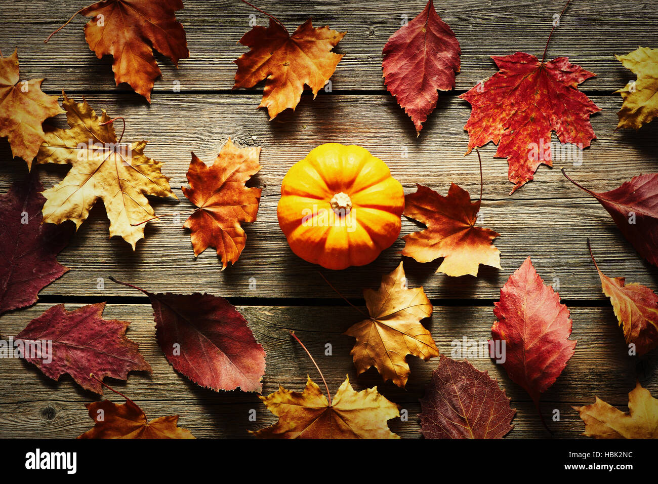 Autumn leaves and pumpkin Stock Photo - Alamy