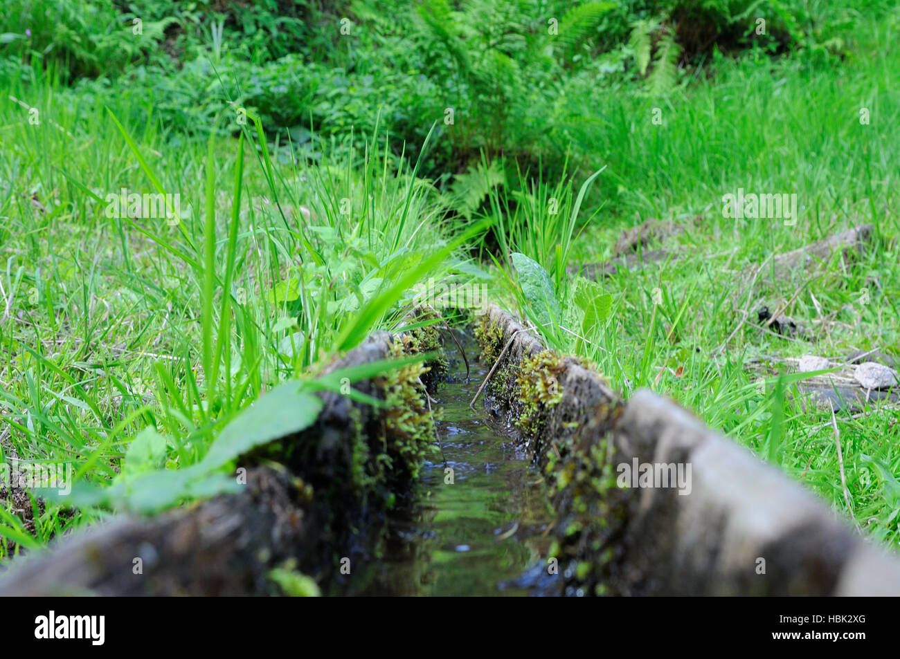 straight from the ground open water pipe Stock Photo - Alamy
