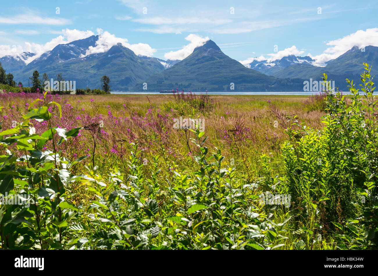 Mountains in Alaska Stock Photo - Alamy