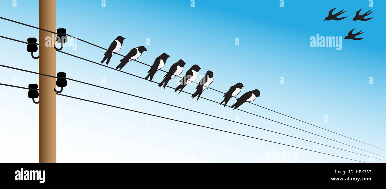 Birds on a wire Stock Photo - Alamy