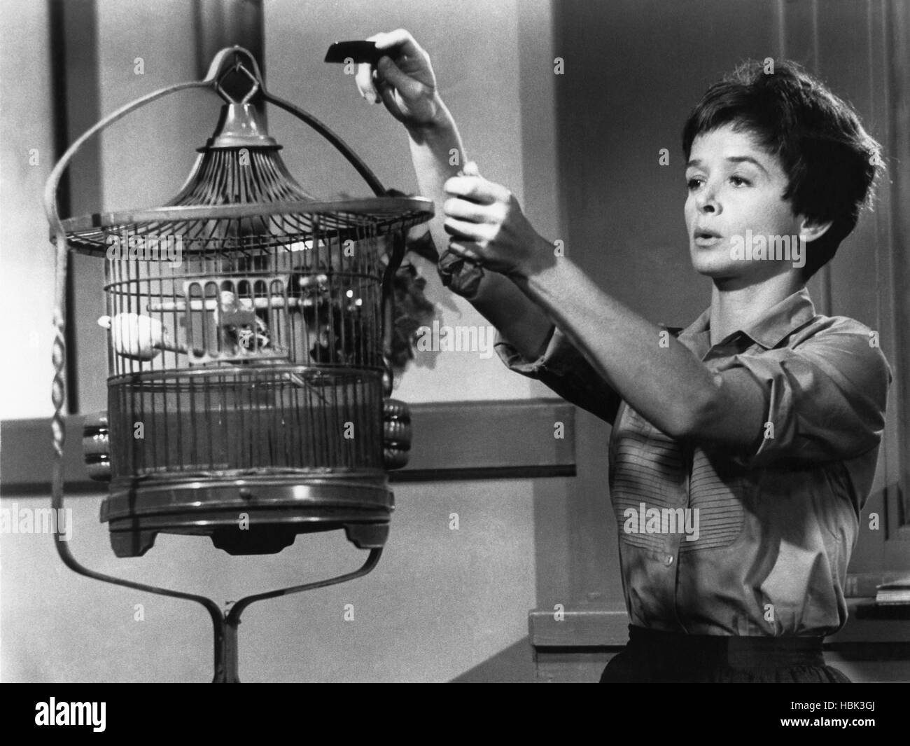 THE CARETAKERS, Barbara Barrie, 1963 Stock Photo - Alamy