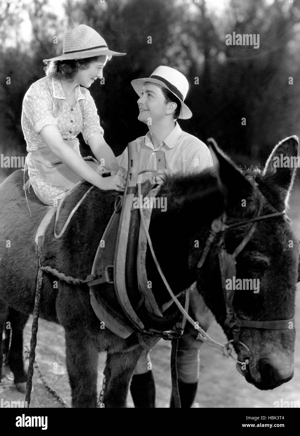 CAROLINA, from left: Janet Gaynor, Robert Young, 1934, TM & Copyright ...