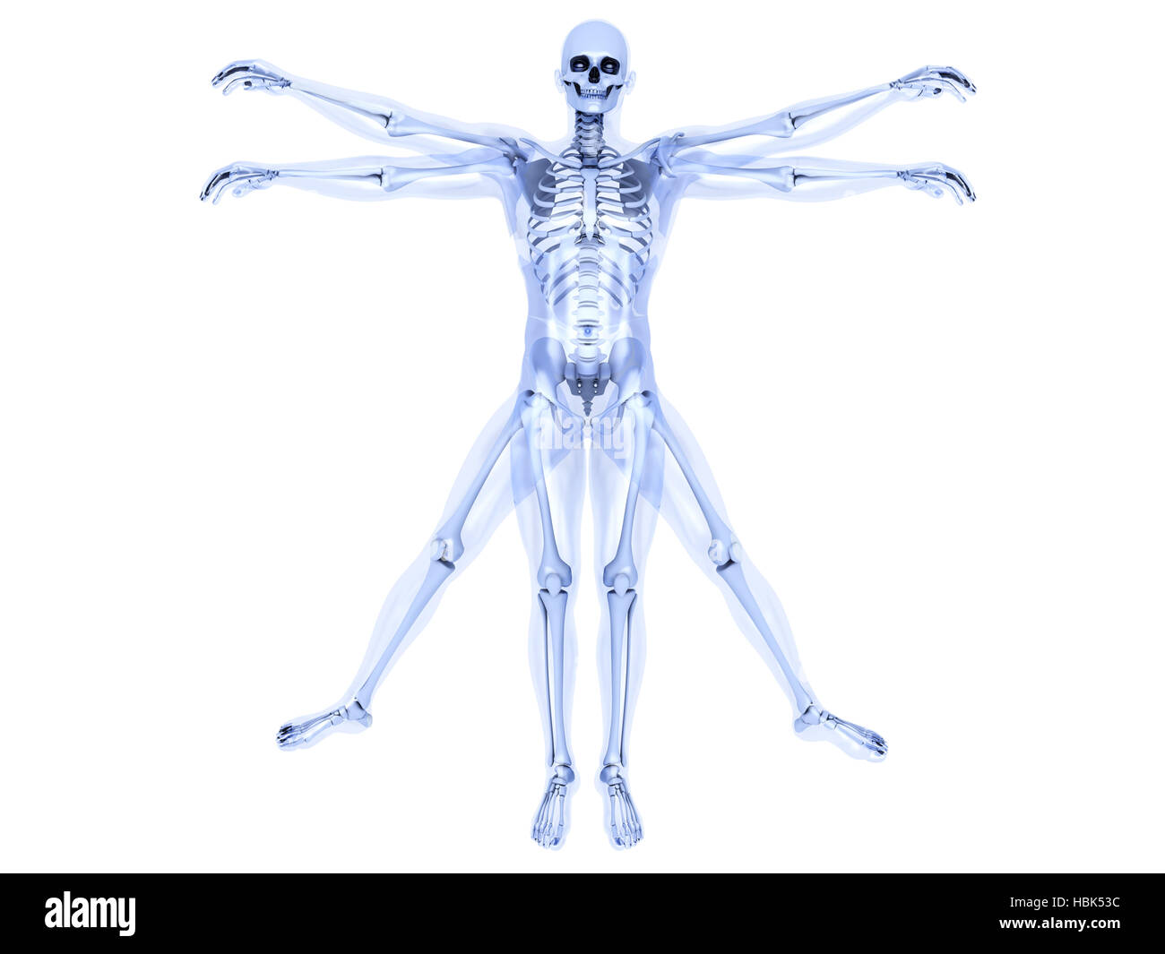 Proportions form hi-res stock photography and images - Alamy