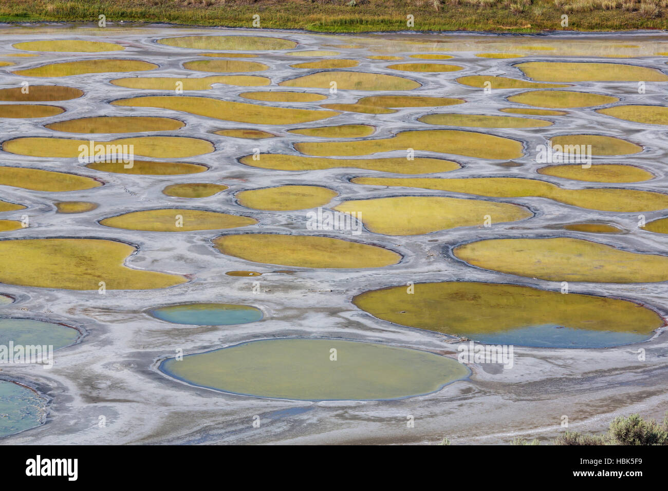 Spotted lake hi-res stock photography and images - Alamy