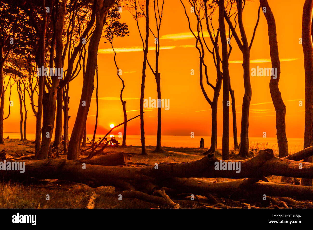 Nienhagen hi-res stock photography and images - Alamy