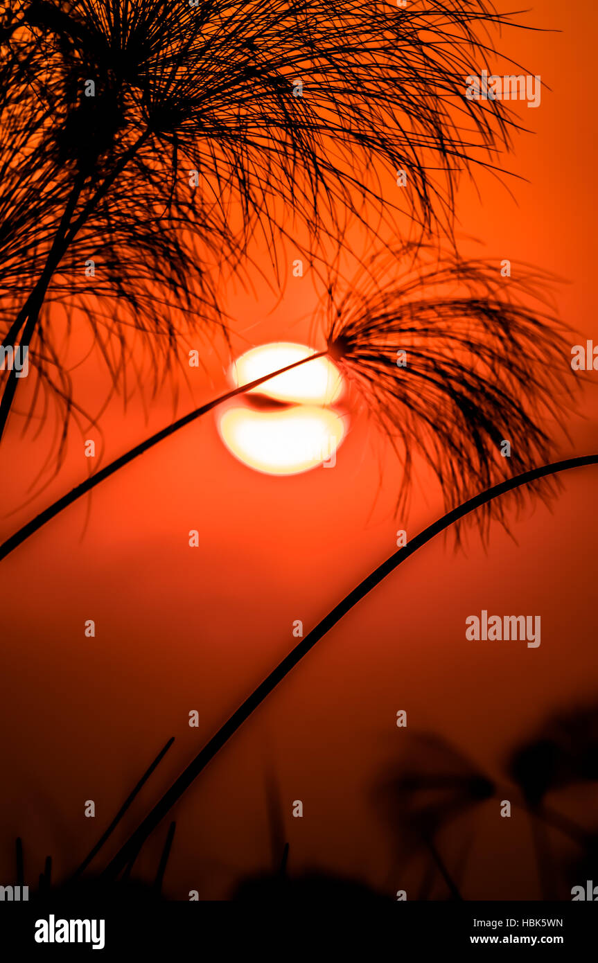 Sunsetting hi-res stock photography and images - Alamy