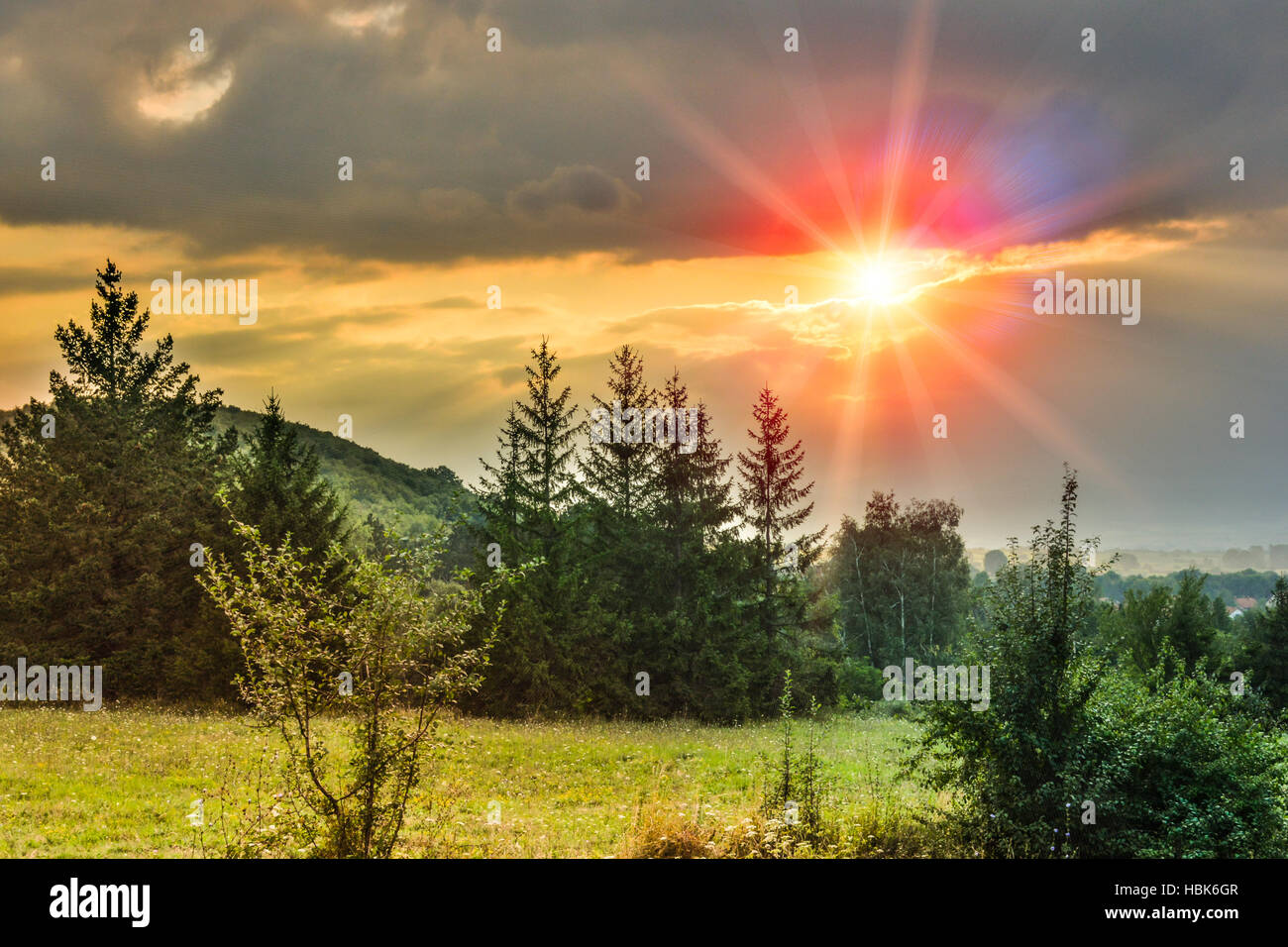 Summer landscape sunset green hi-res stock photography and images - Alamy