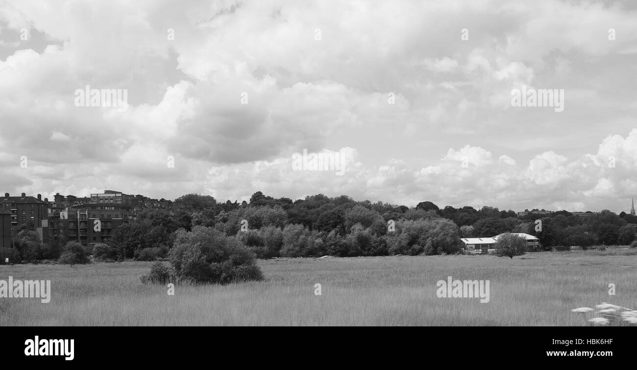 Train in english countryside Black and White Stock Photos & Images - Alamy