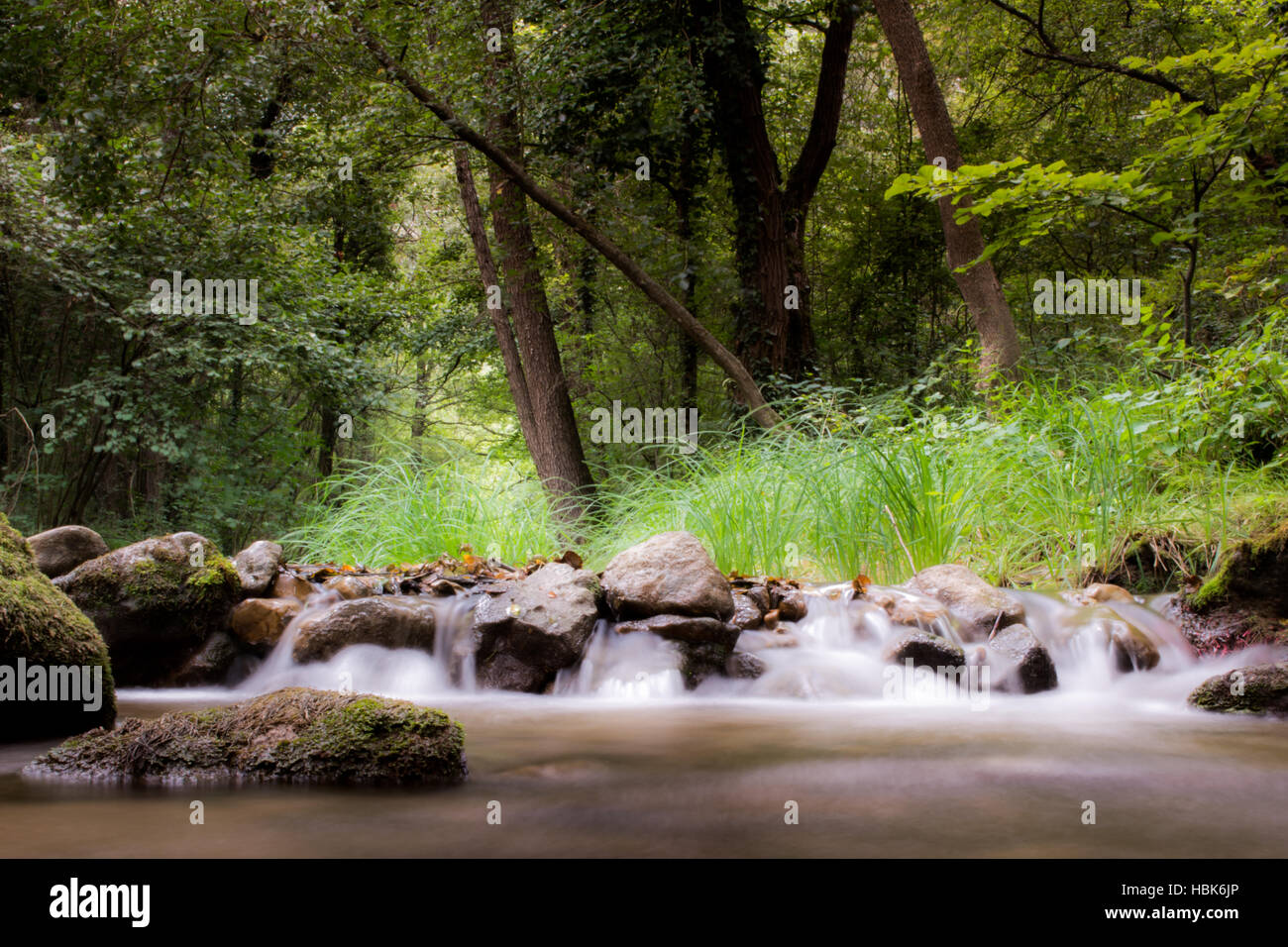 Water stream running over mossy rocks Stock Photo - Alamy