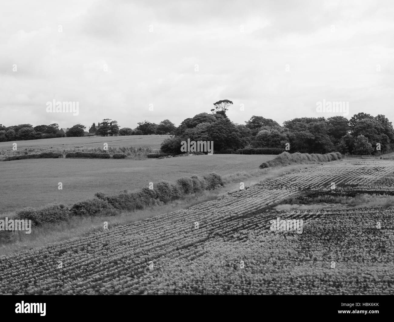 English country landscape Black and White Stock Photos & Images - Alamy