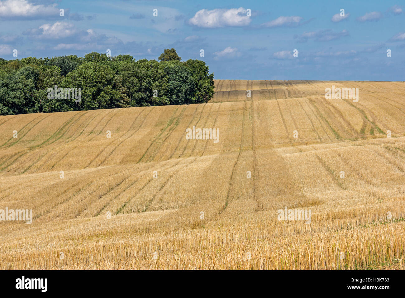 Stoppel feld hi-res stock photography and images - Alamy