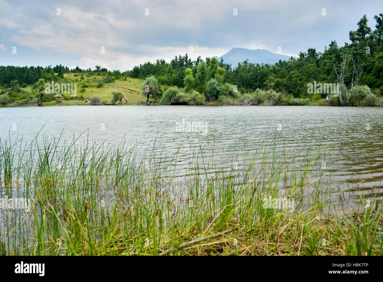 Full pond hi-res stock photography and images - Alamy
