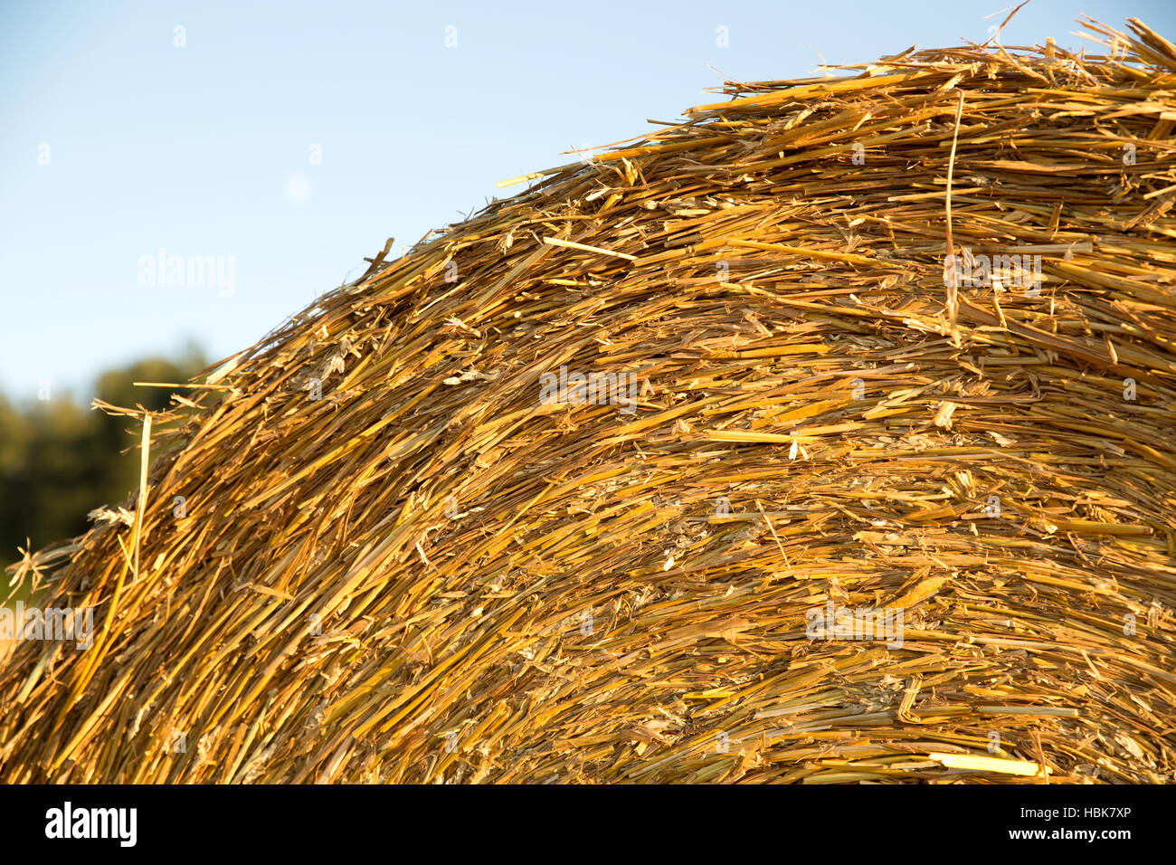 Hay rollers hi-res stock photography and images - Alamy