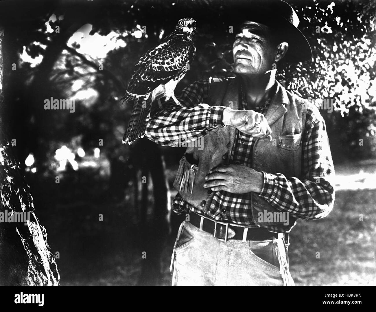 CALL OF THE FOREST, Chief Thundercloud, 1949 Stock Photo - Alamy