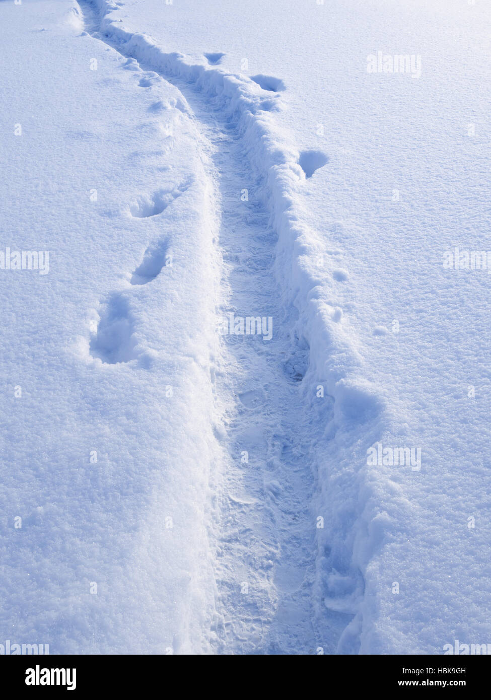 Clean pathway hi-res stock photography and images - Alamy