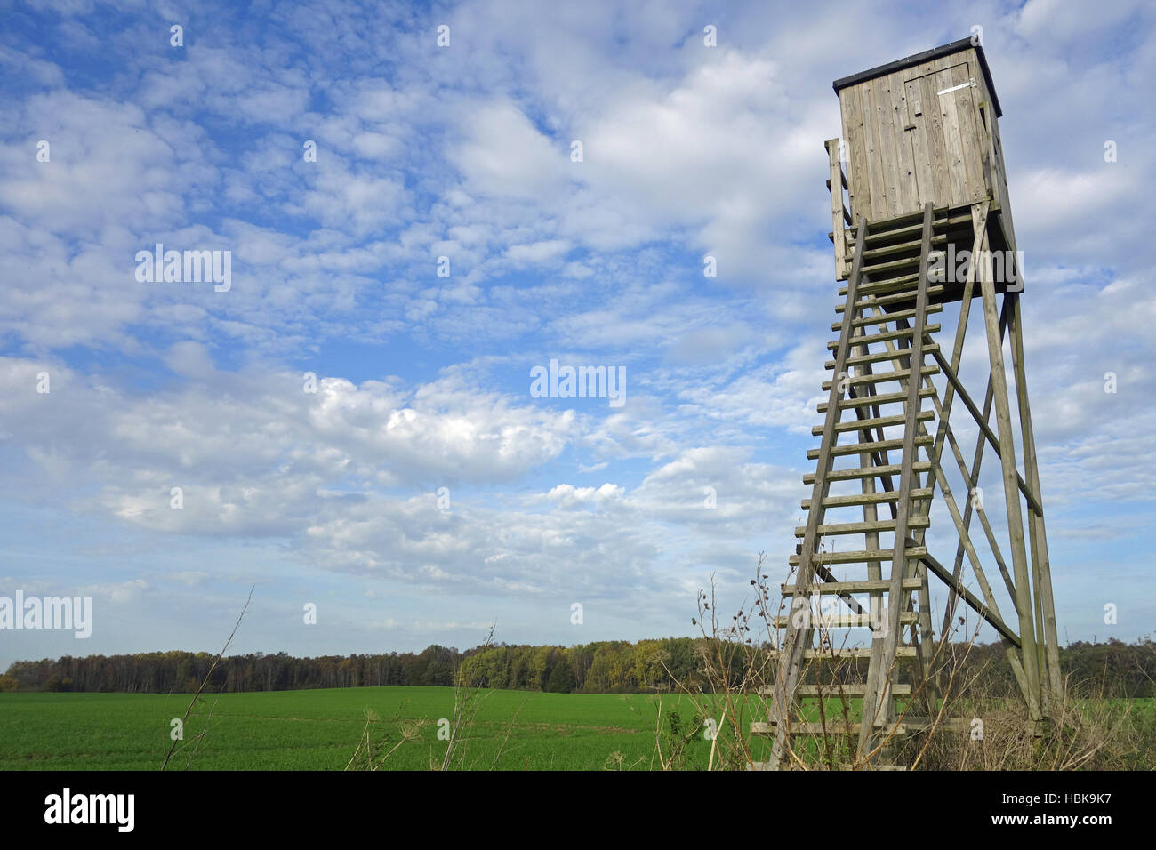 perch, hunting device Stock Photo - Alamy