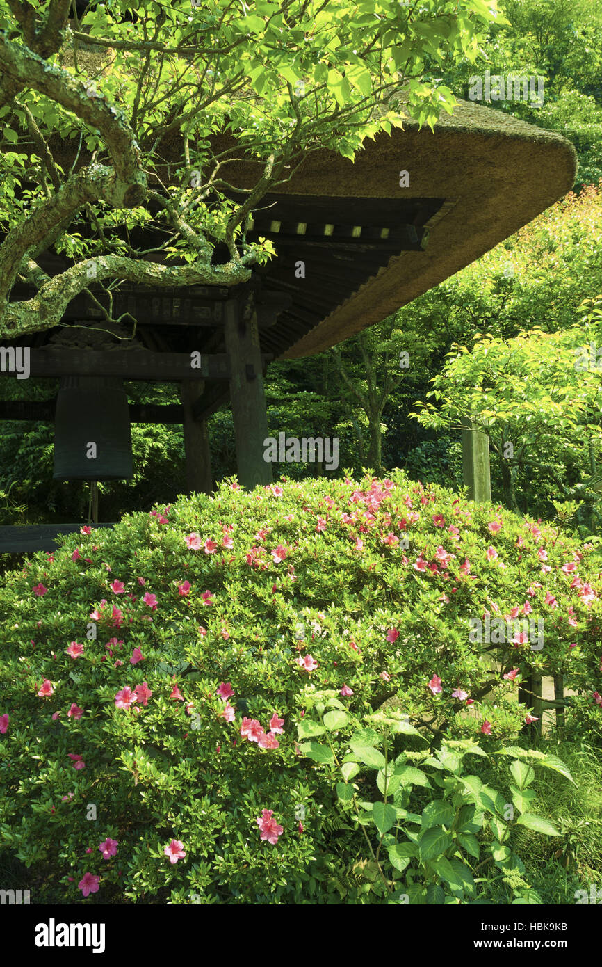 Vertical zen hi-res stock photography and images - Alamy