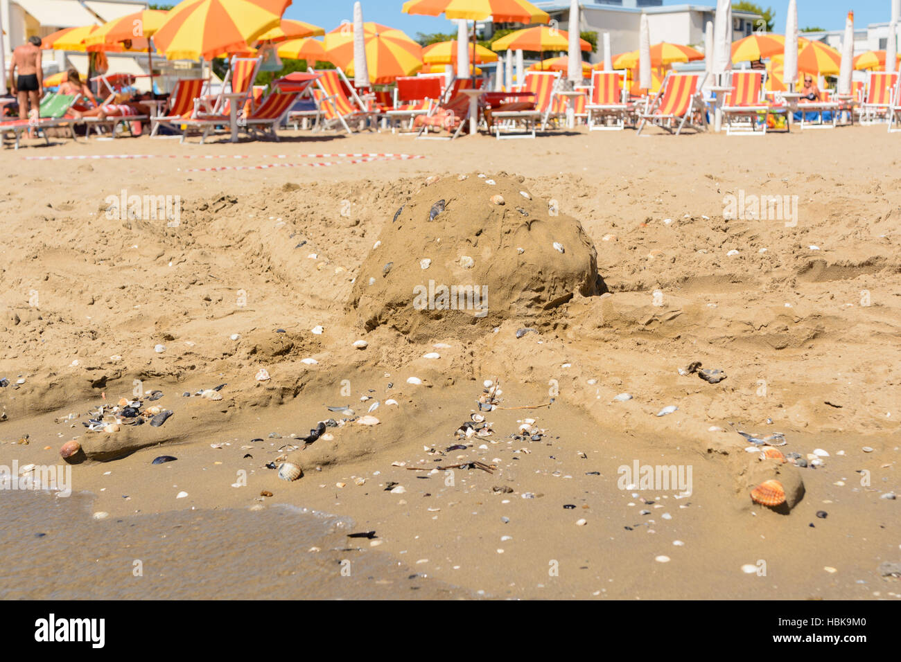 Squid of sand on a beach in Italy Stock Photo - Alamy