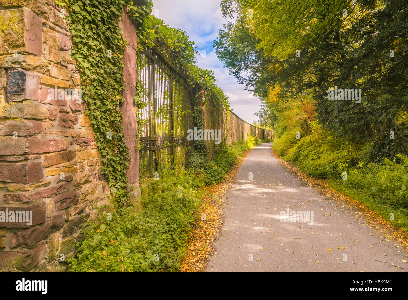 Sunny stone path hi-res stock photography and images - Alamy