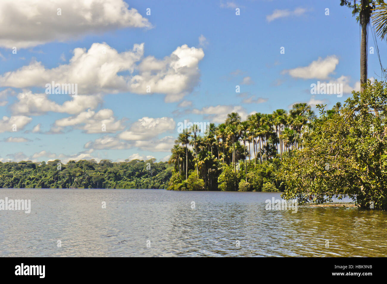Amazon basin hi-res stock photography and images - Alamy