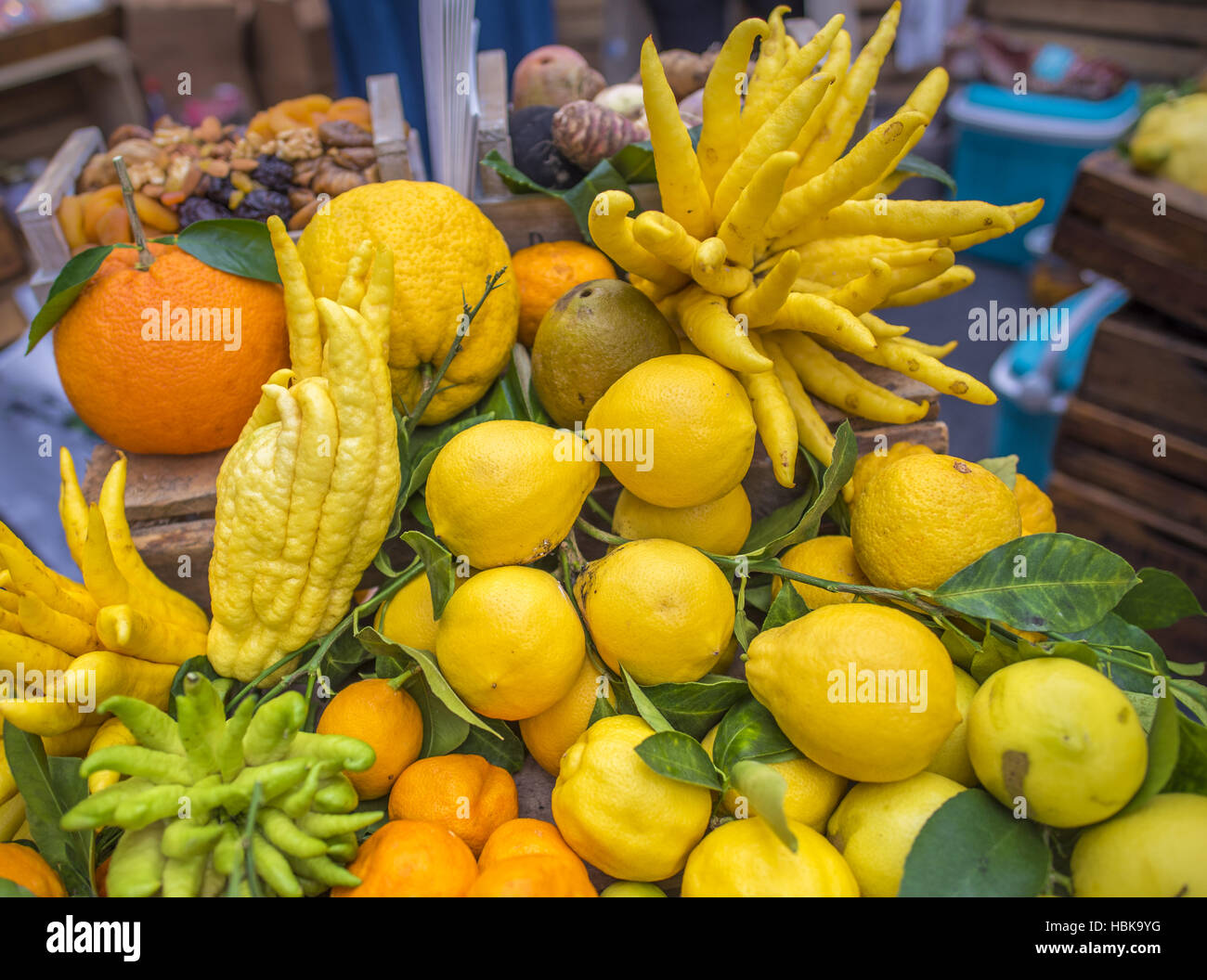 Mix of citrus fruits Stock Photo - Alamy