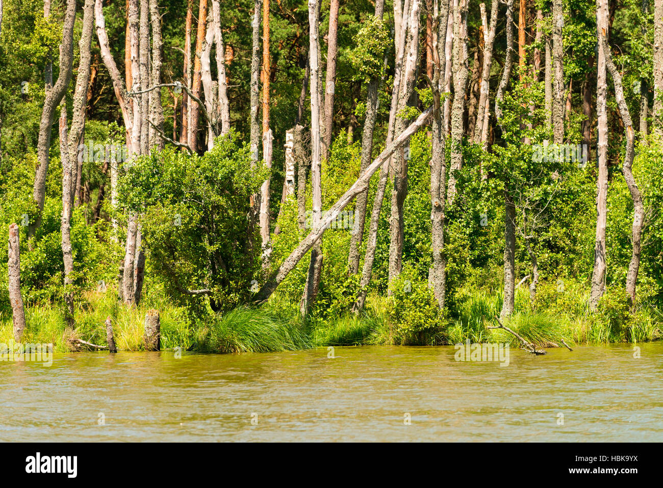 Slowinski nationalpark hi-res stock photography and images - Alamy