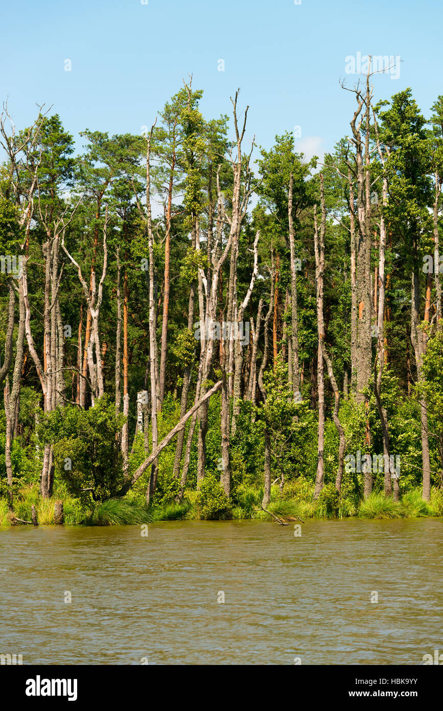 Slowinski nationalpark hi-res stock photography and images - Alamy