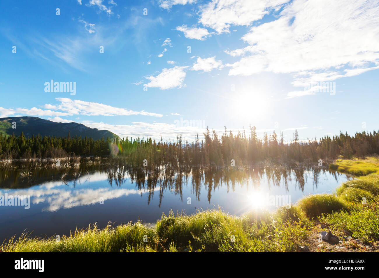 Lake in Alaska Stock Photo - Alamy