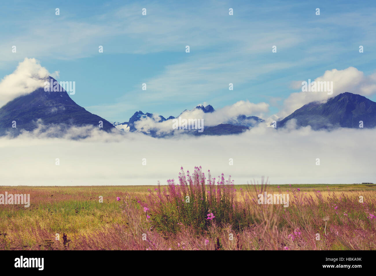 Alaska landschaft hi-res stock photography and images - Alamy